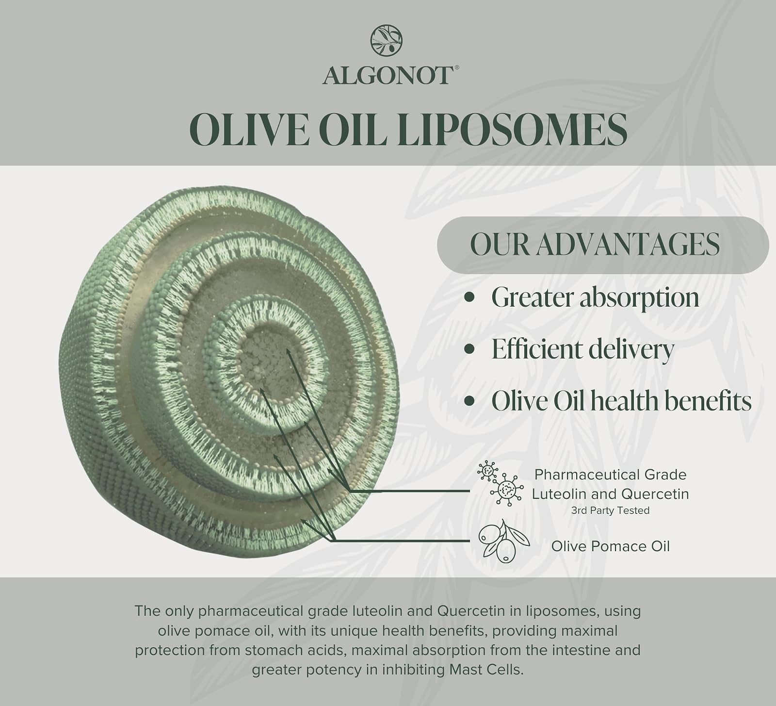 Algonot antioxidant blend for immunity