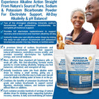 alkaline mineral supplement for wellness