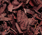Alkanet root tea benefits and uses