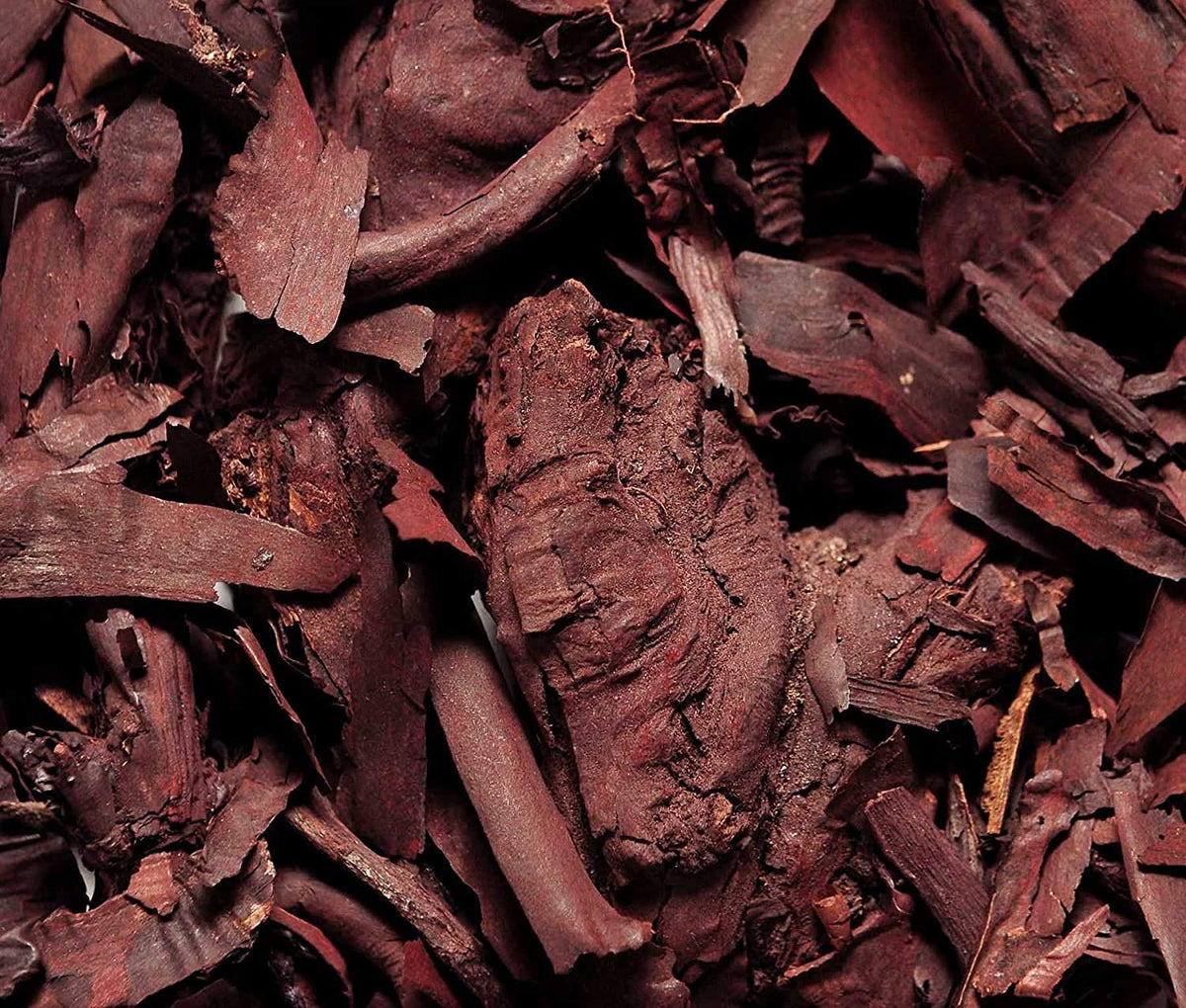 Alkanet root tea benefits and uses