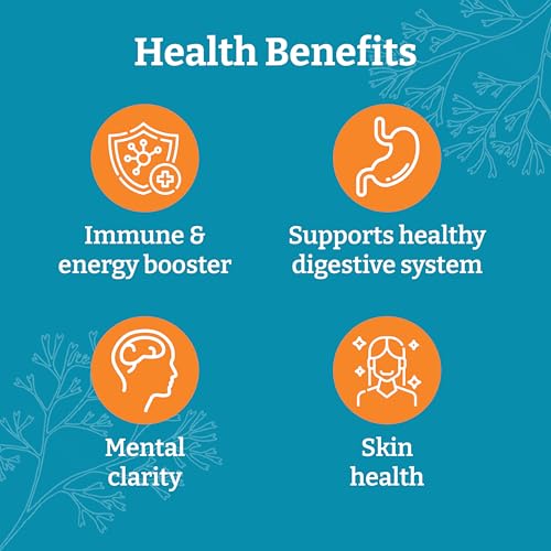 all-in-one elderberry health solution