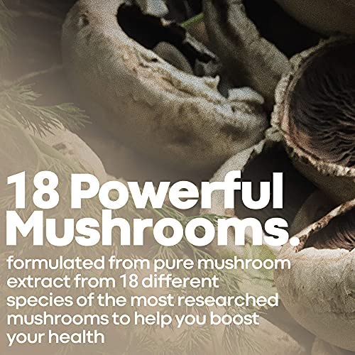 all-in-one mushroom health formula