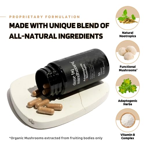 all-in-one mushrooms for cognitive health