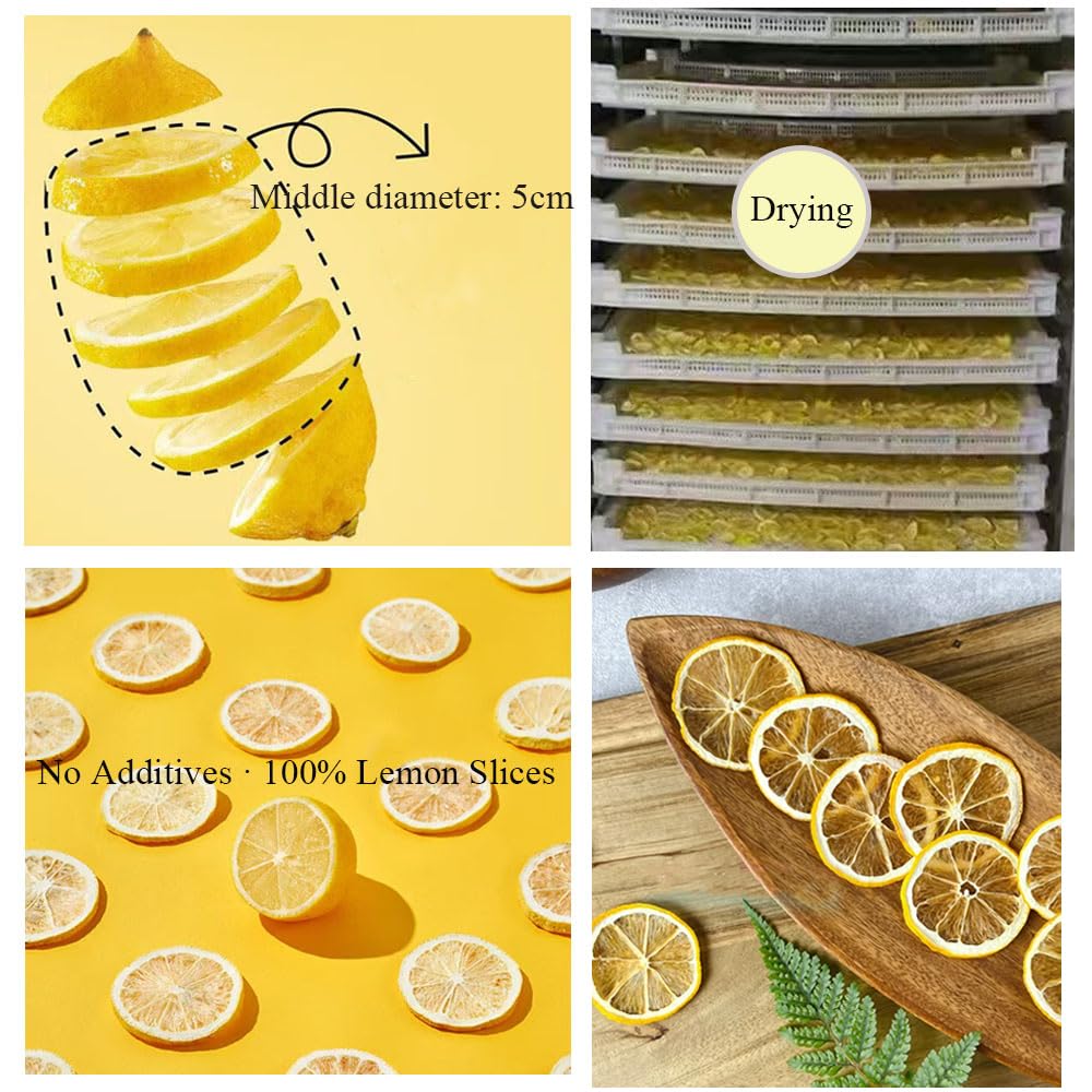 all natural dehydrated lemon rings