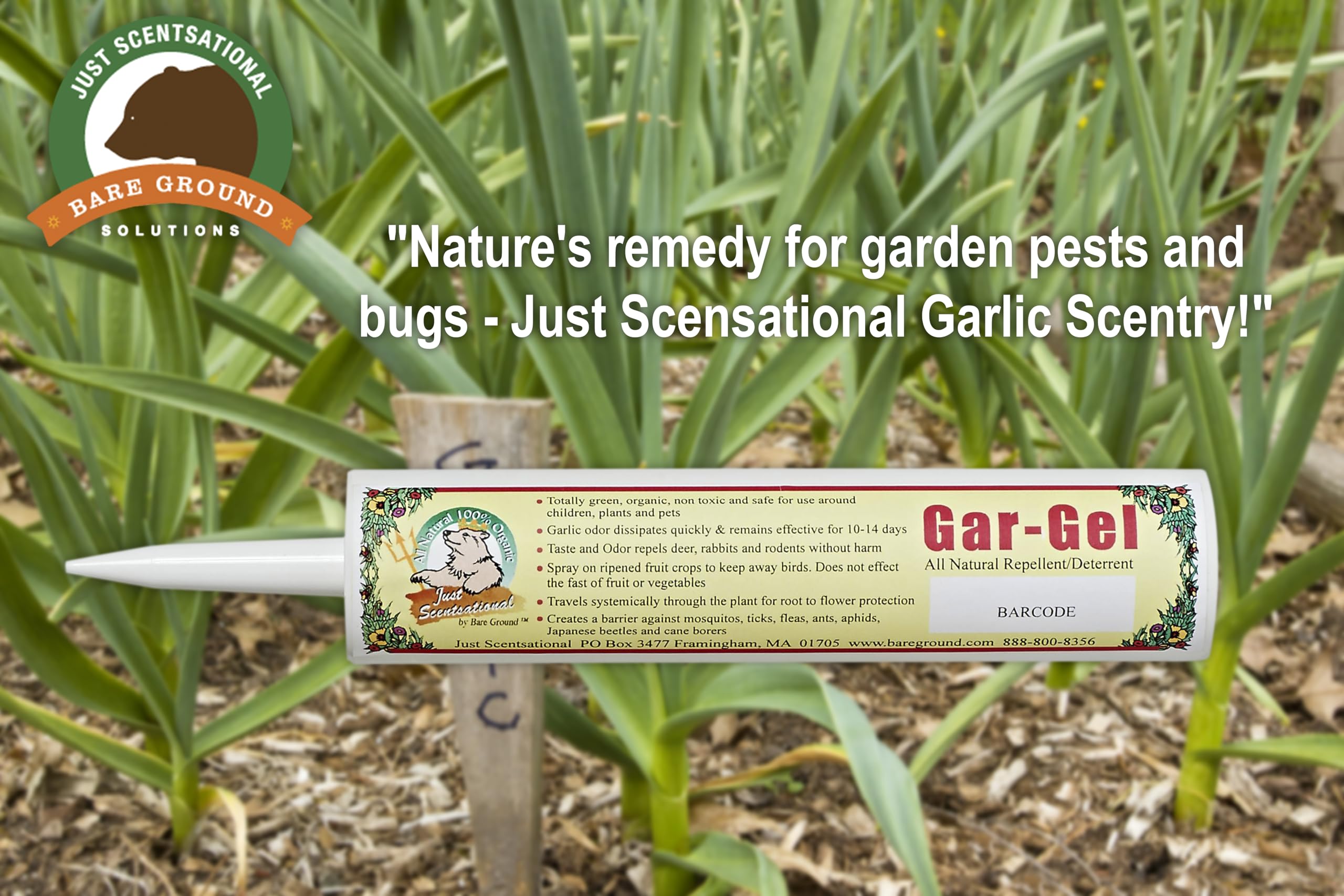 all natural garlic pest control