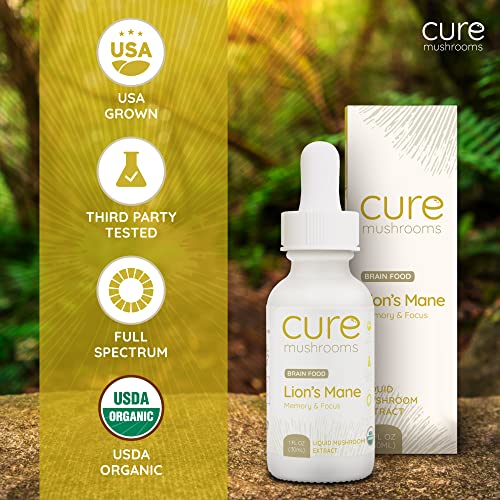 all natural lions mane extract