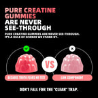 Allcoovita creatine for muscle recovery
