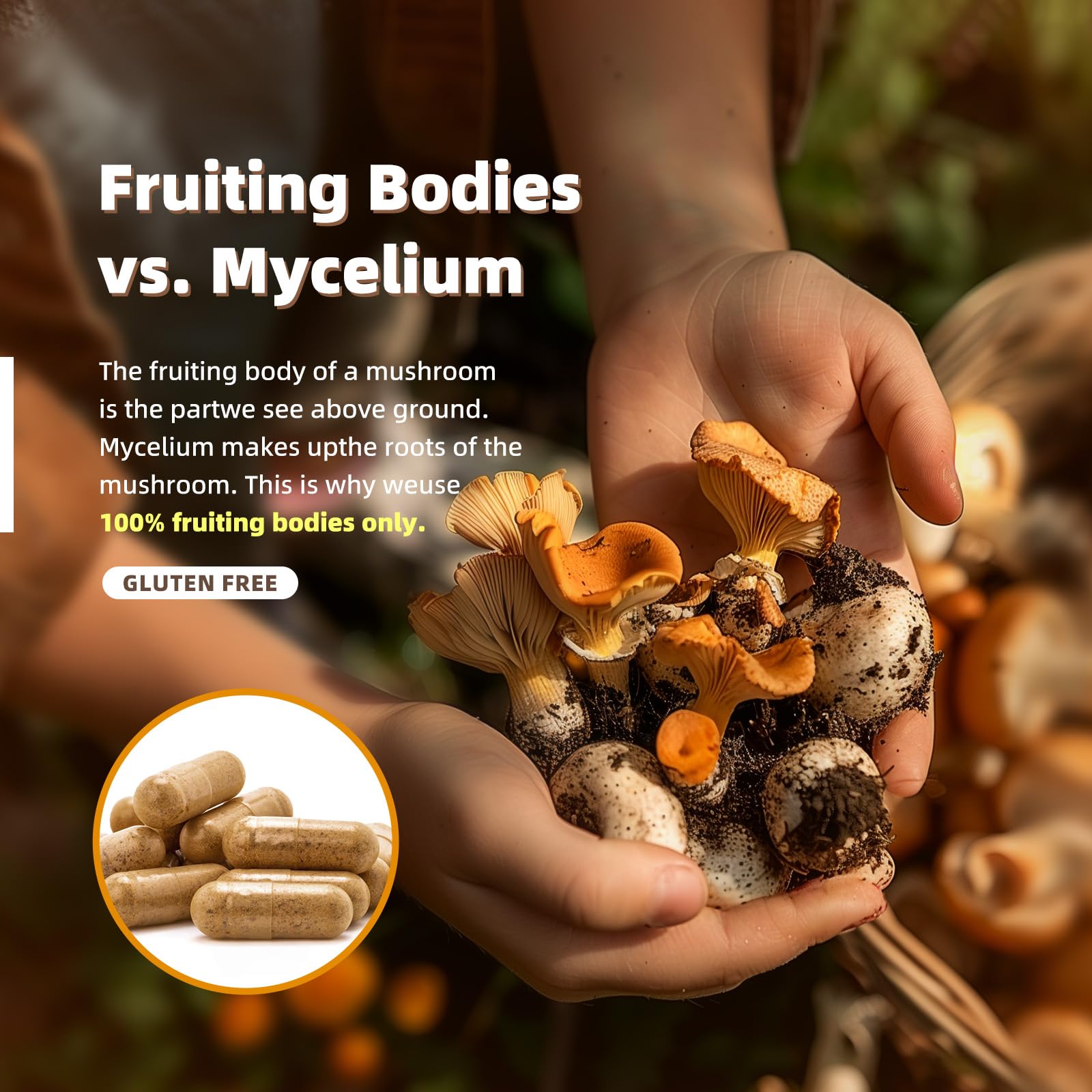 Allcoovita Mushroom Complex for vitality