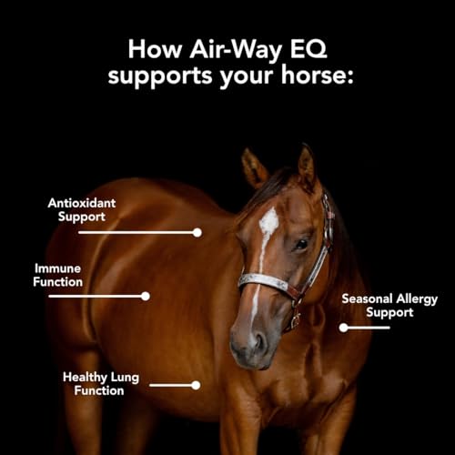 allergy relief vitamins for horses
