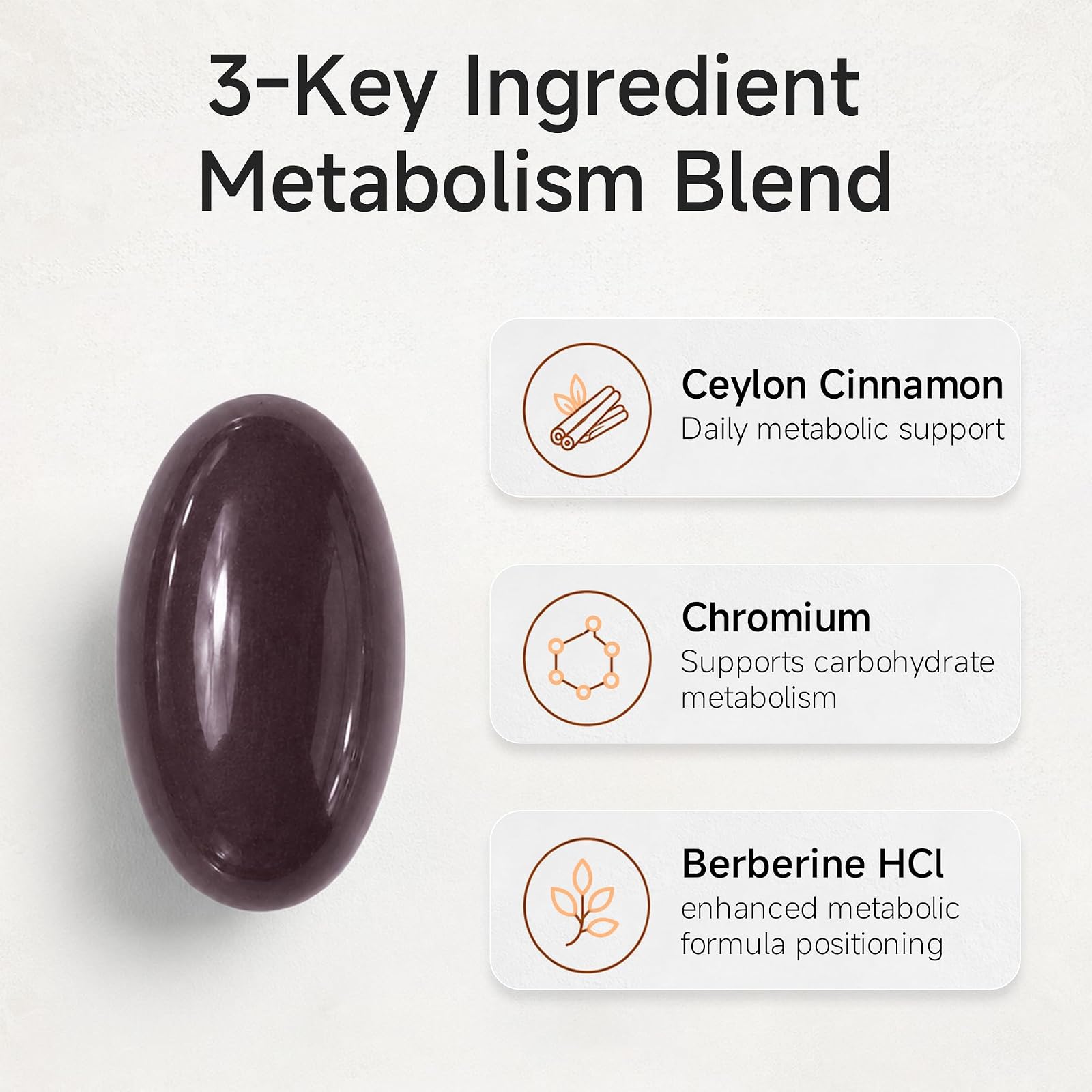 Alliwise herbal cinnamon capsules