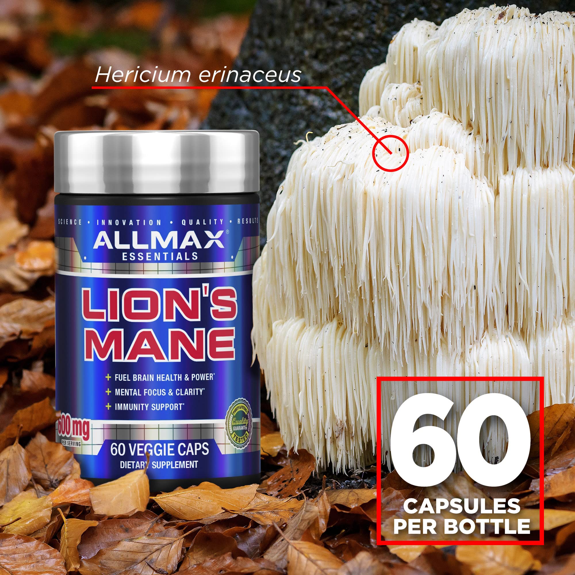 ALLMAX Lion's Mane for better concentration