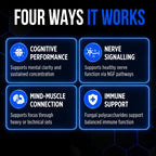 ALLMAX nootropic for enhanced focus
