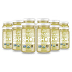 ALLWELLO ginger tea health benefits