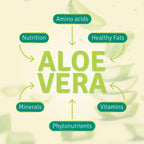 Aloe Gold for immune support