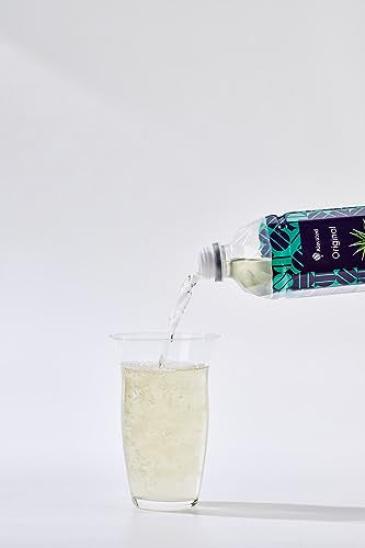 aloe vera beverage for daily energy