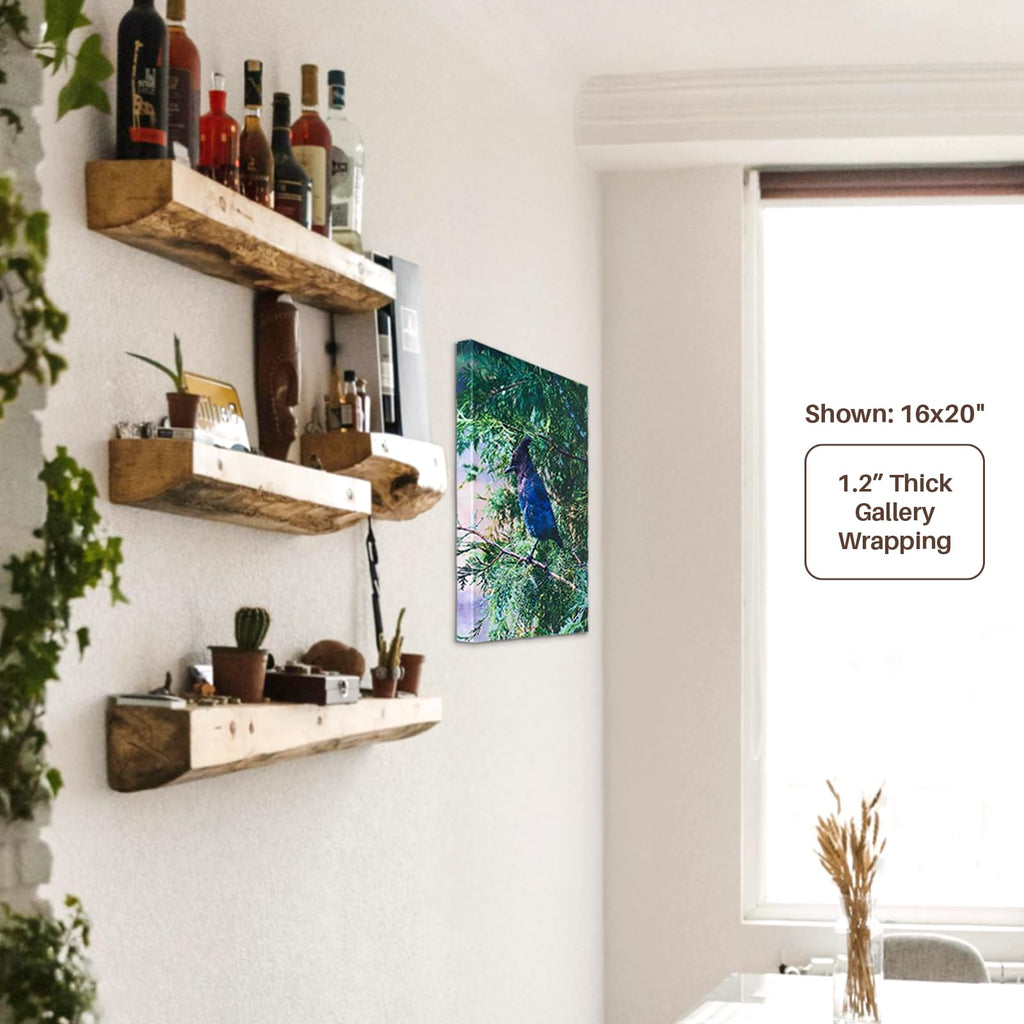 Aloe vera decor for wellness spaces