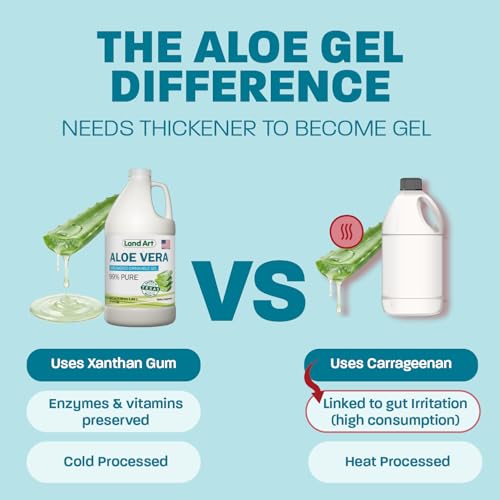 aloe vera drink for detoxification