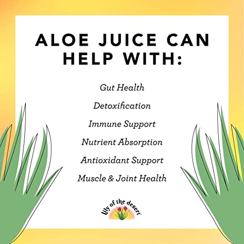 aloe vera drink for refreshing hydration