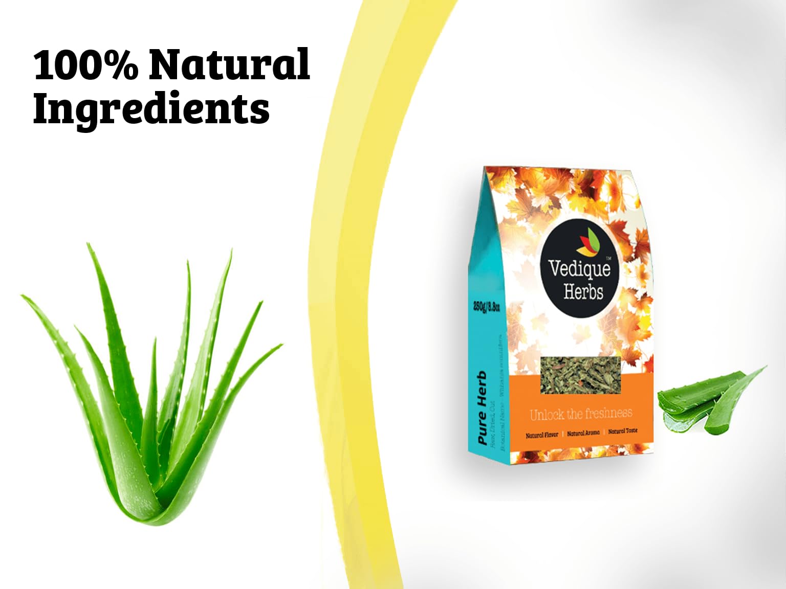aloe vera flower bloom care tips