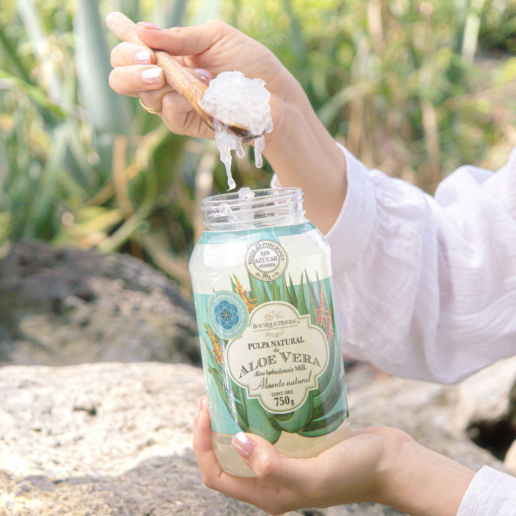 aloe vera flower bloom care