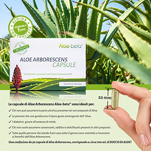 aloe vera for a healthy lifestyle