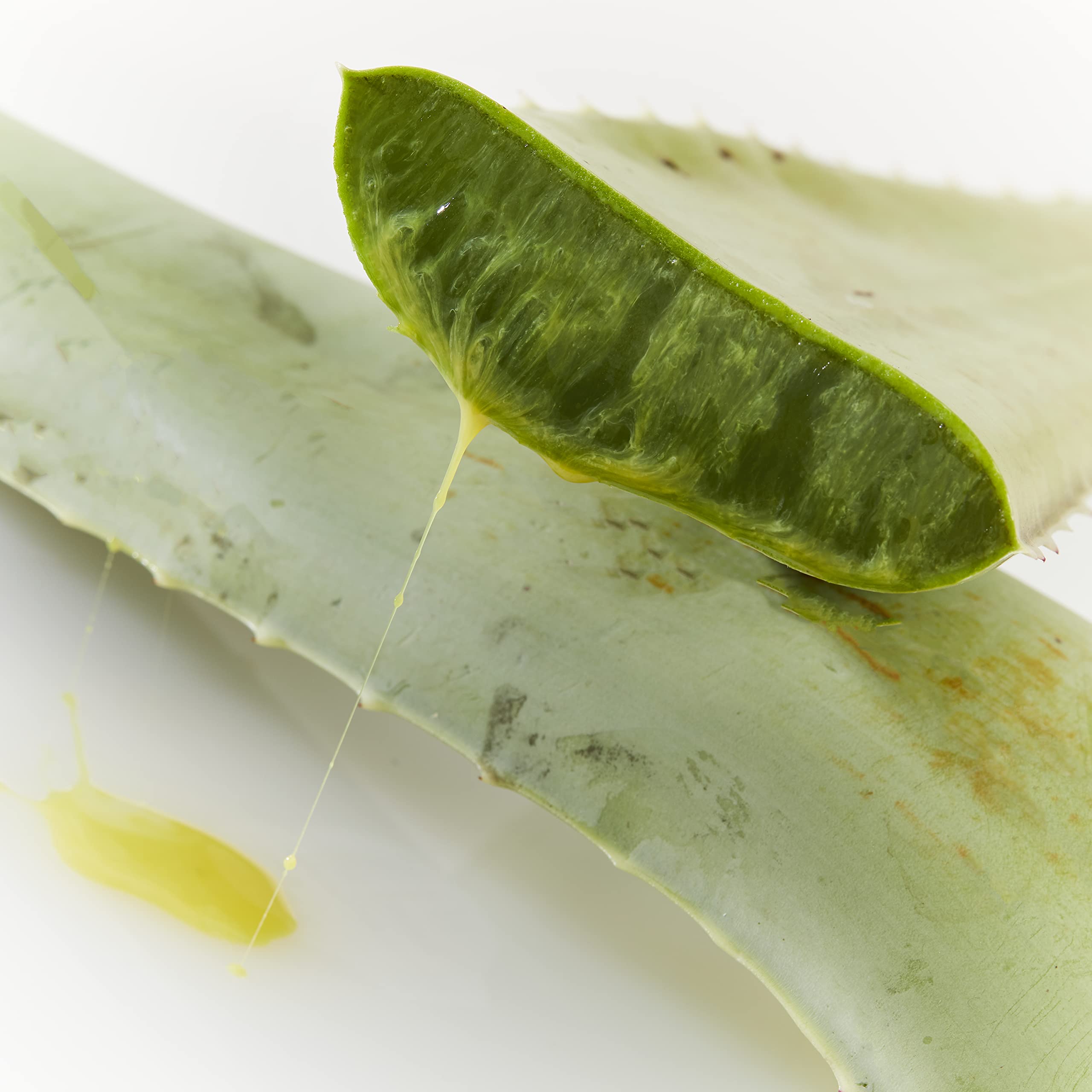 Aloe vera for digestive health