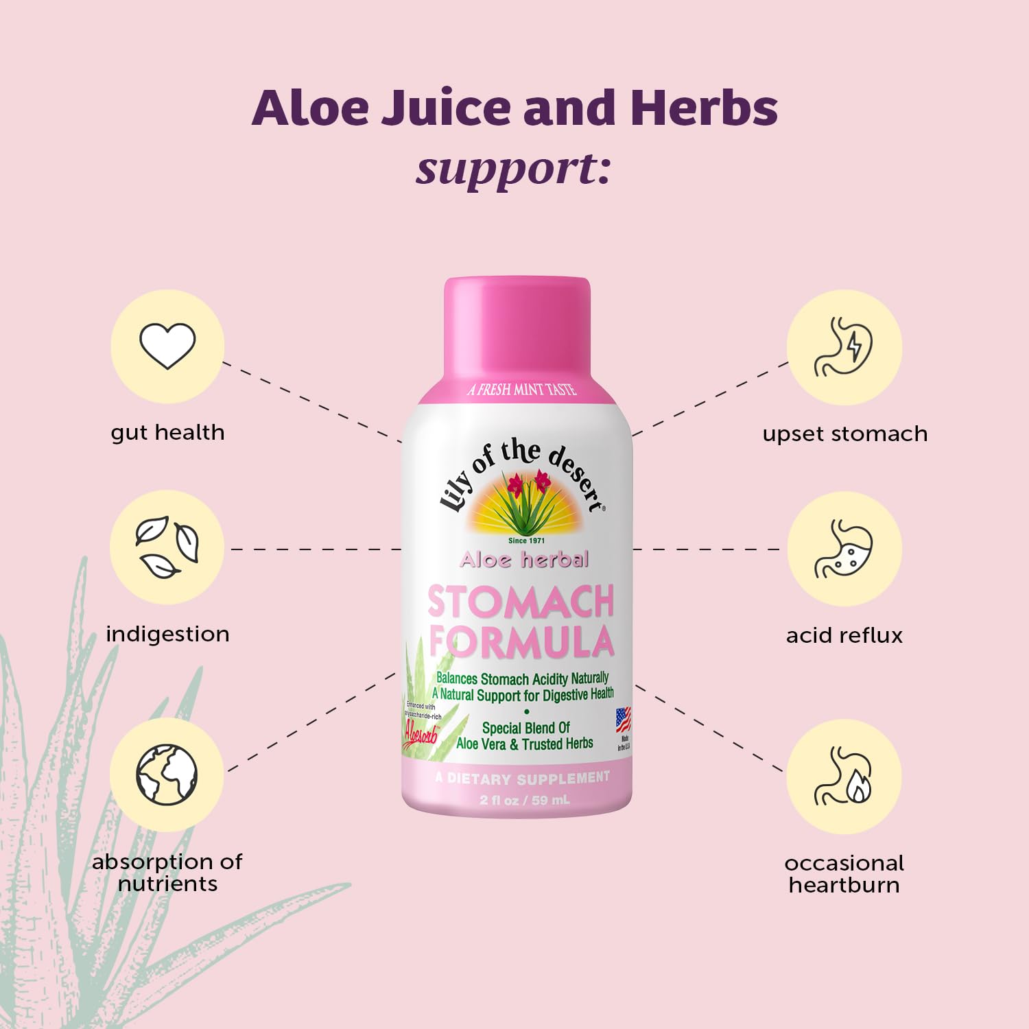 aloe vera for gut health