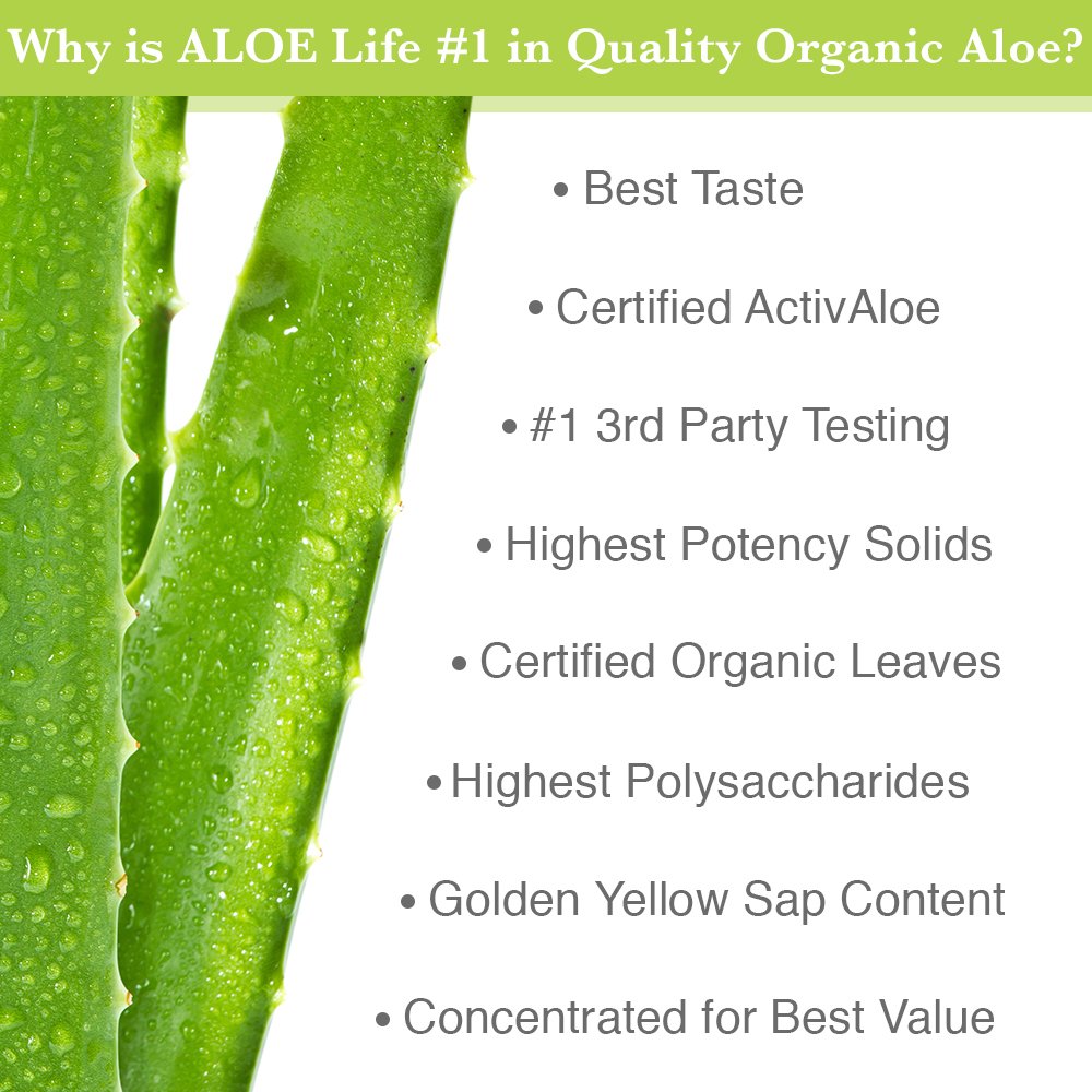 Aloe Vera for gut wellness