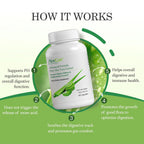 Aloe Vera for skin hydration
