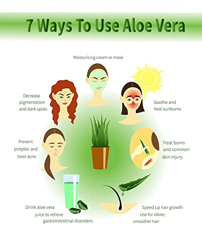 aloe vera for soothing sunburn relief