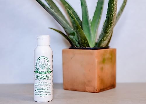 aloe vera gel for everyday use