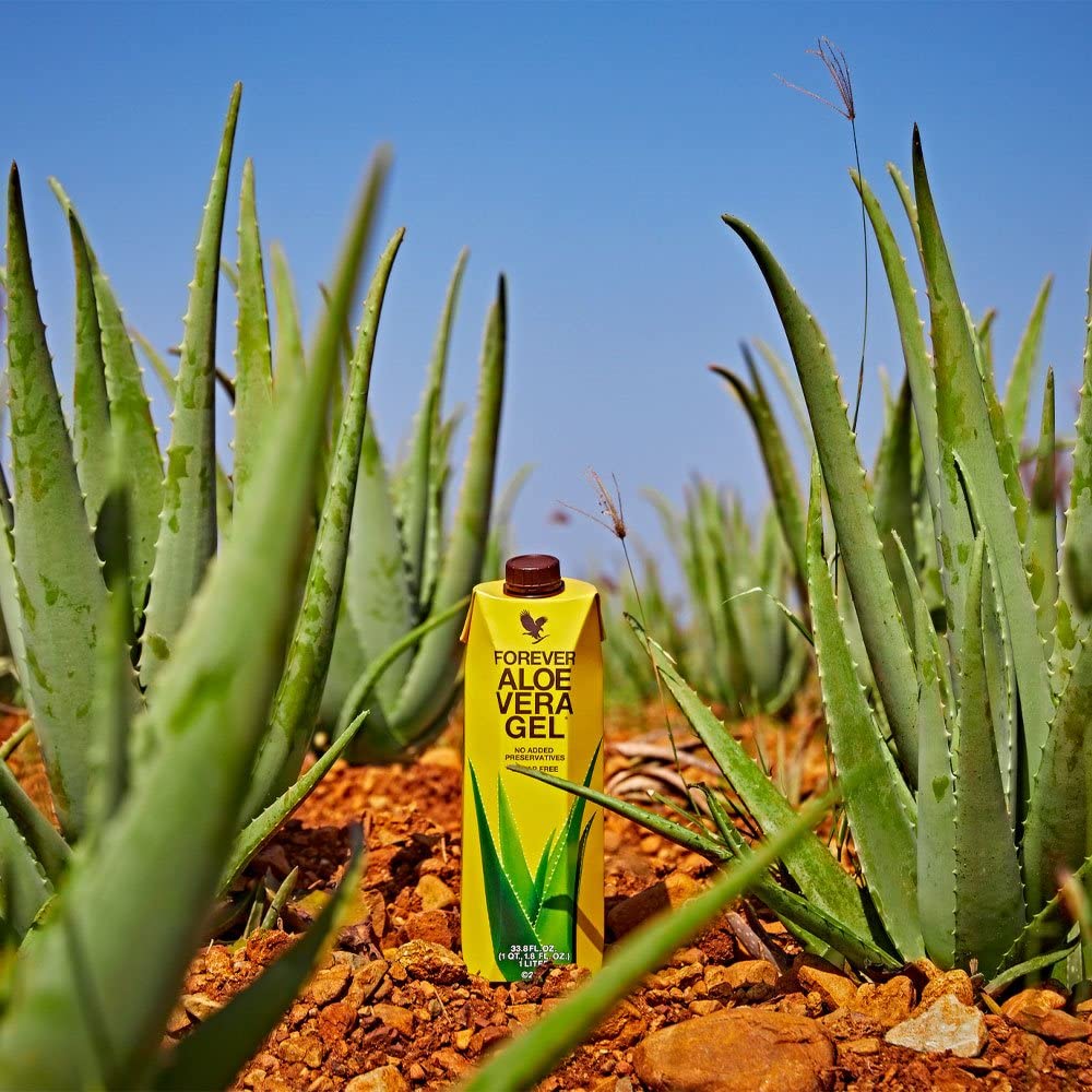 aloe vera gel for sunburn relief