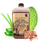 Aloe Vera herbal supplement benefits