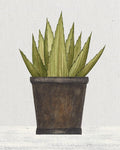 aloe vera home decor artwork