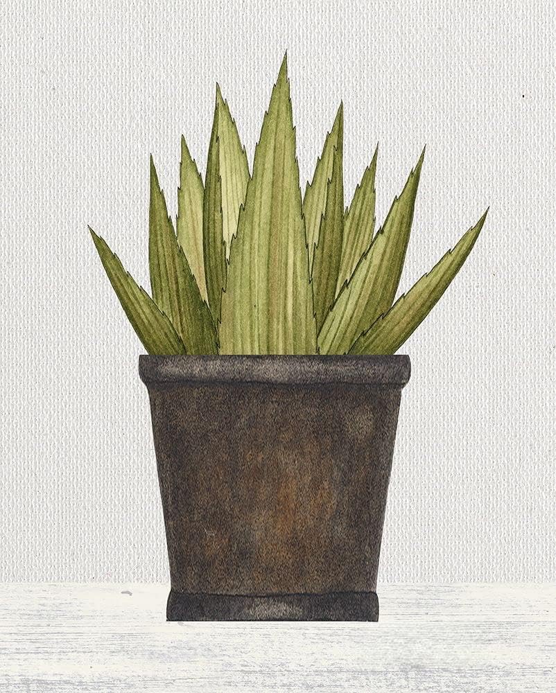 aloe vera home decor artwork