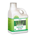 aloe vera juice for skin health
