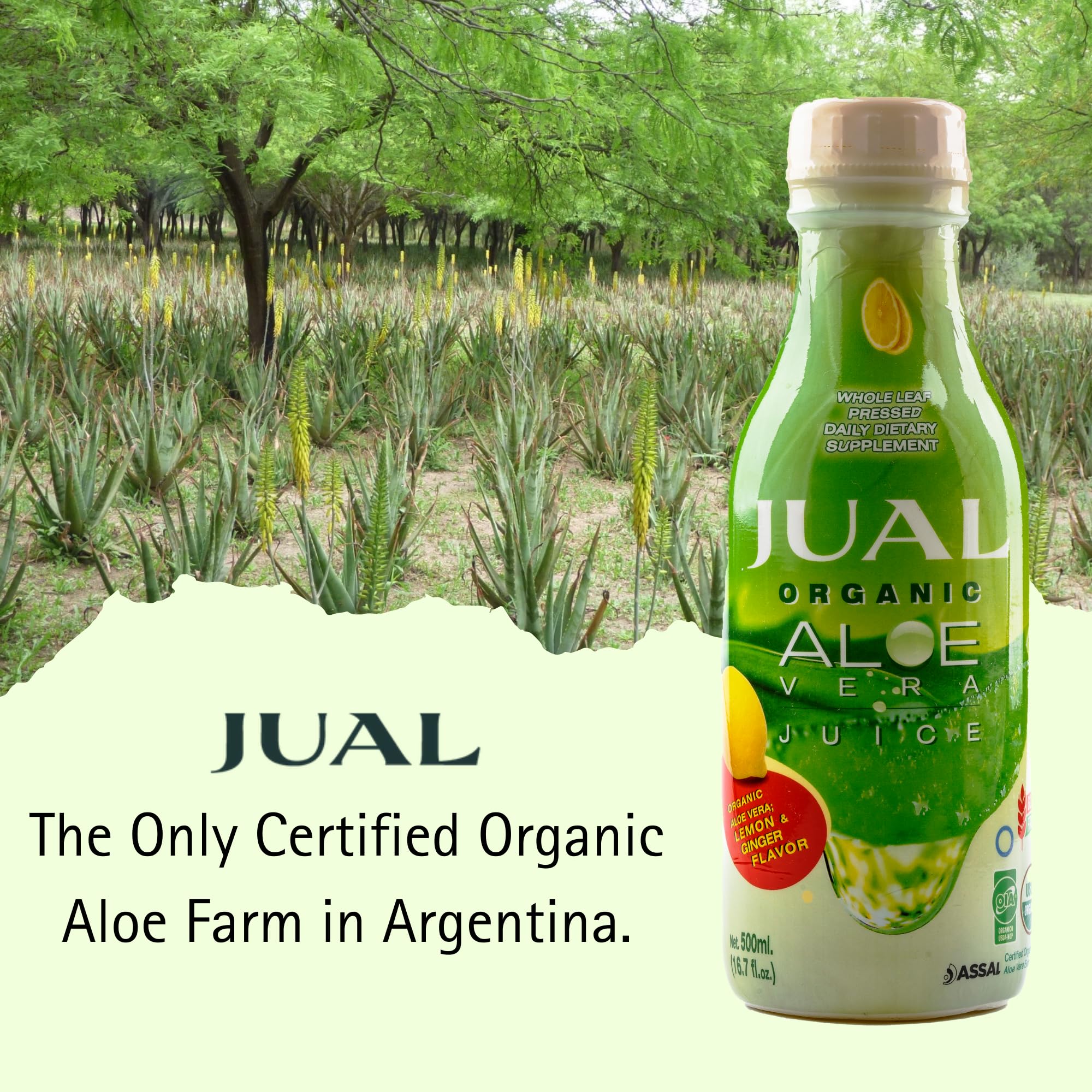 aloe vera juice with no aloin