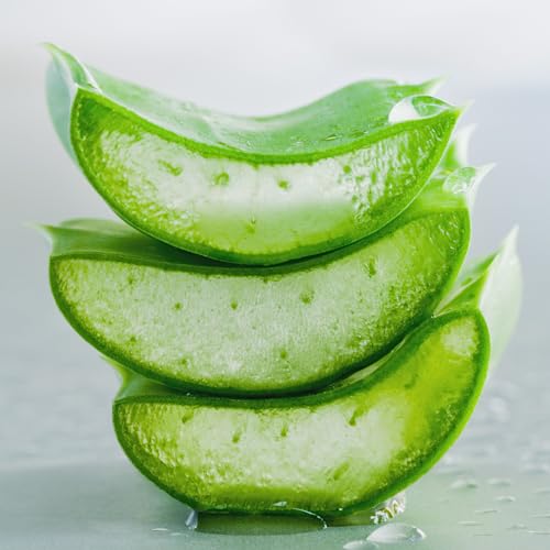 aloe vera leaf powder for hydration