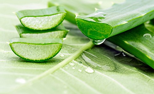 aloe vera oil with vitamins