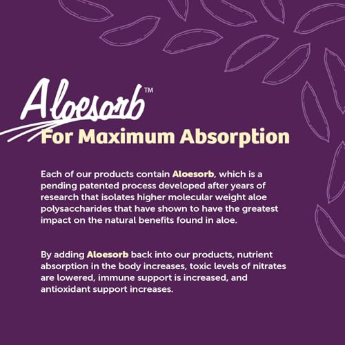 Aloe vera plant care tips