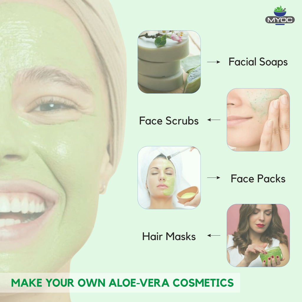 aloe vera powder for healthy skin