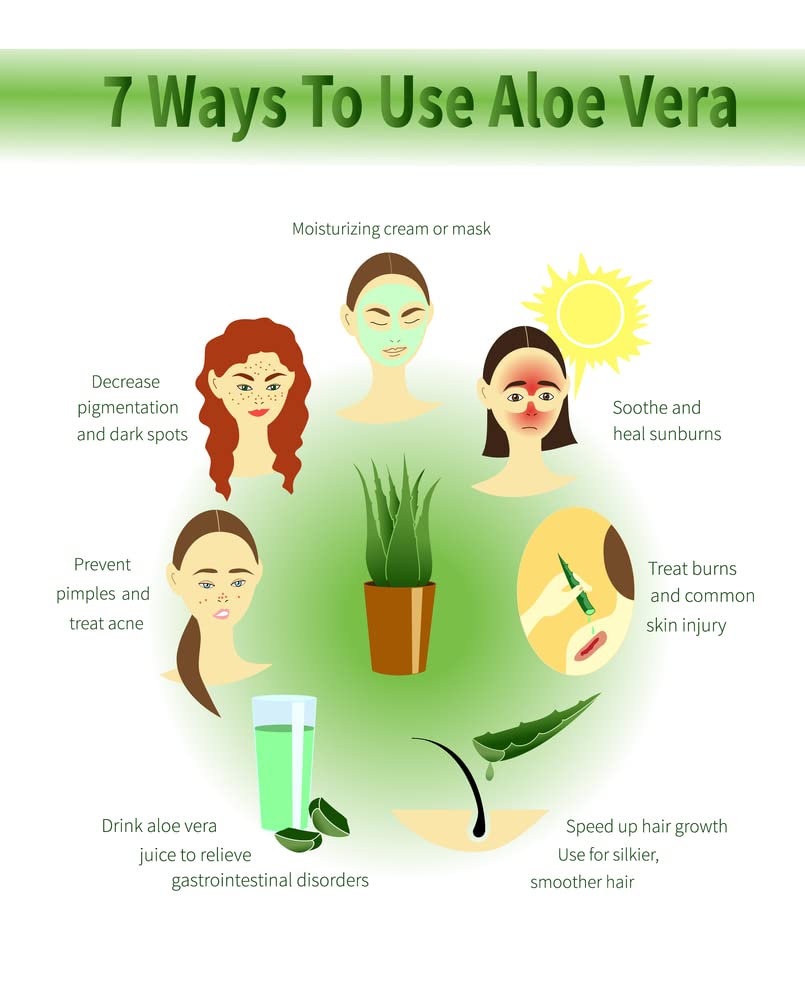 aloe vera powder for natural remedies