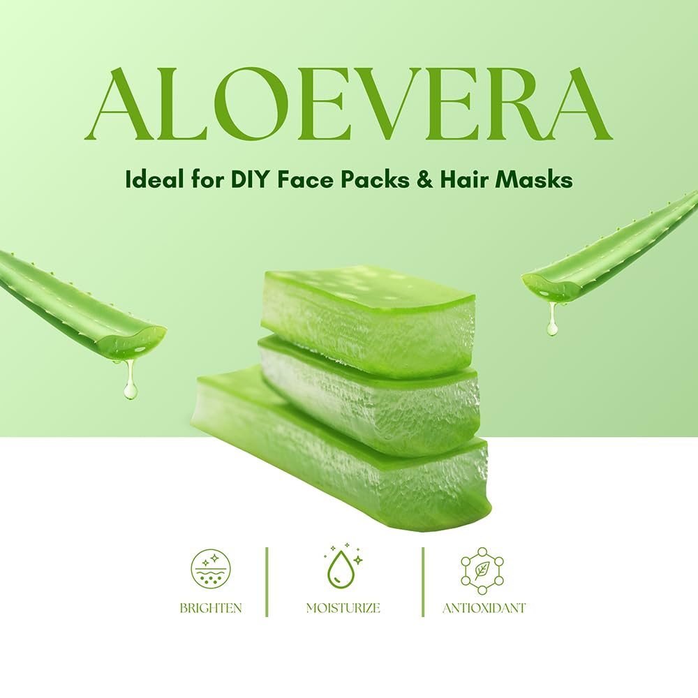 aloe vera powder for natural wellness