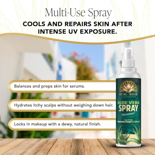 aloe vera spray for everyday hydration