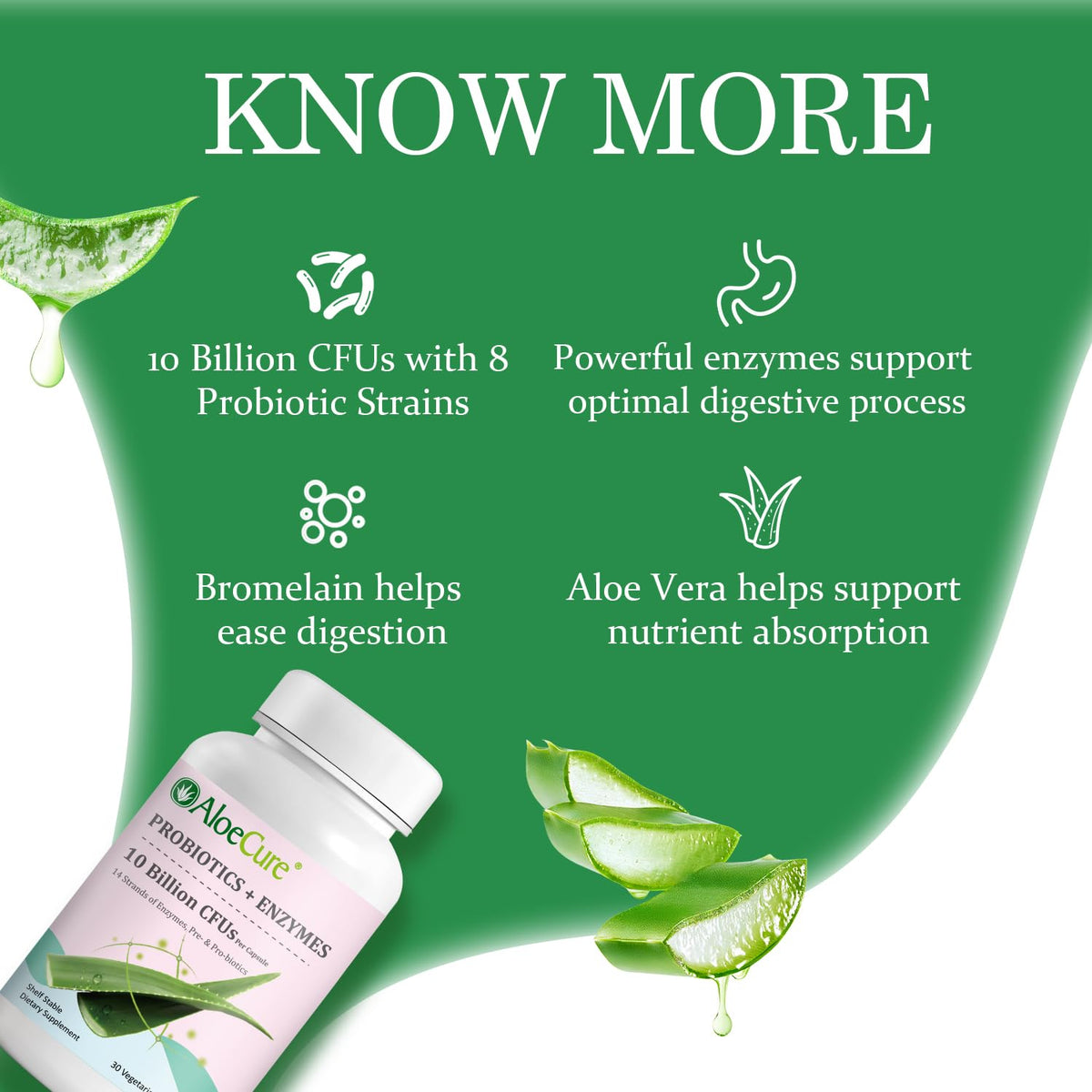 AloeCure daily probiotic benefits