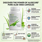 AloeCure herbal wellness capsules