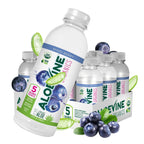 Aloevine aloe vera juice benefits