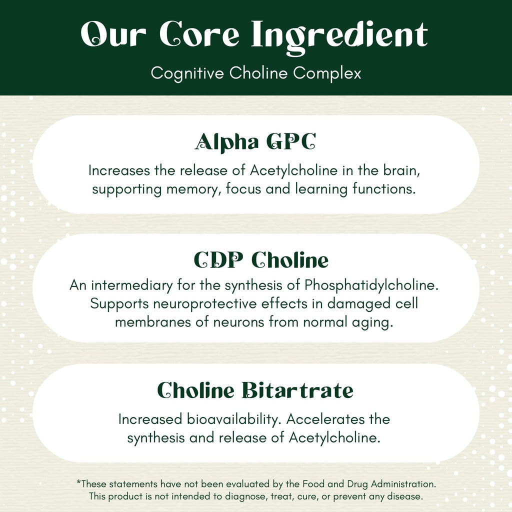 Alpha Focus cognitive performance formula