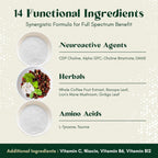Alpha Focus gummy multivitamin for taste
