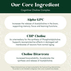Alpha Focus kids multivitamin for growth